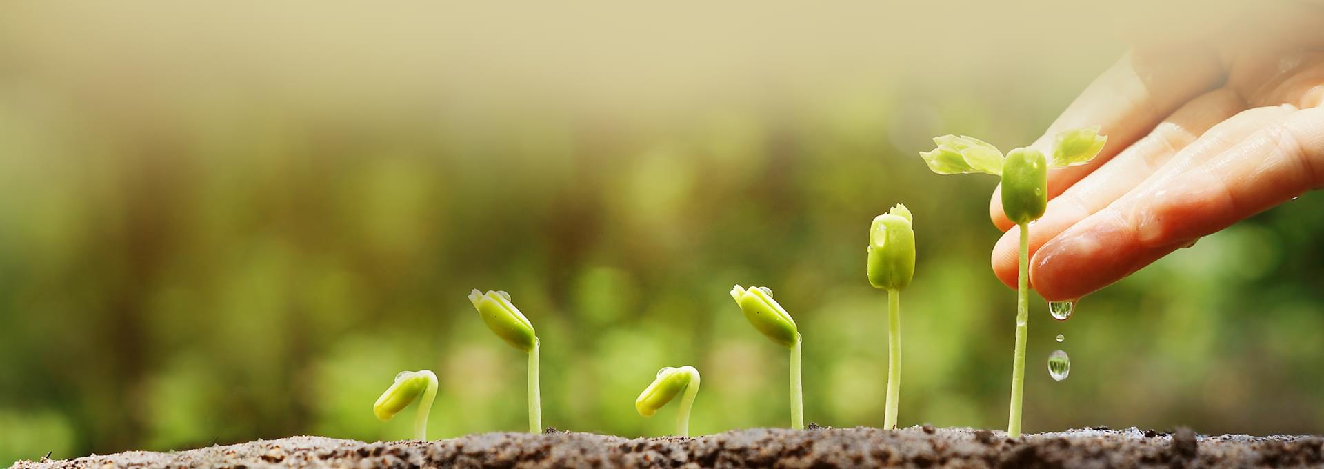 Soil & Water Technologies | Zeba for Better Soil & Water Health | UPL